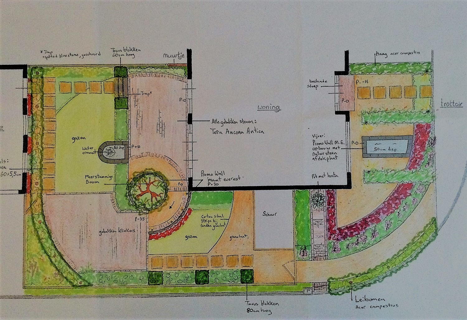 Tuinontwerp Beplantingsplan Tuinadvies - Greenwave tuindesign